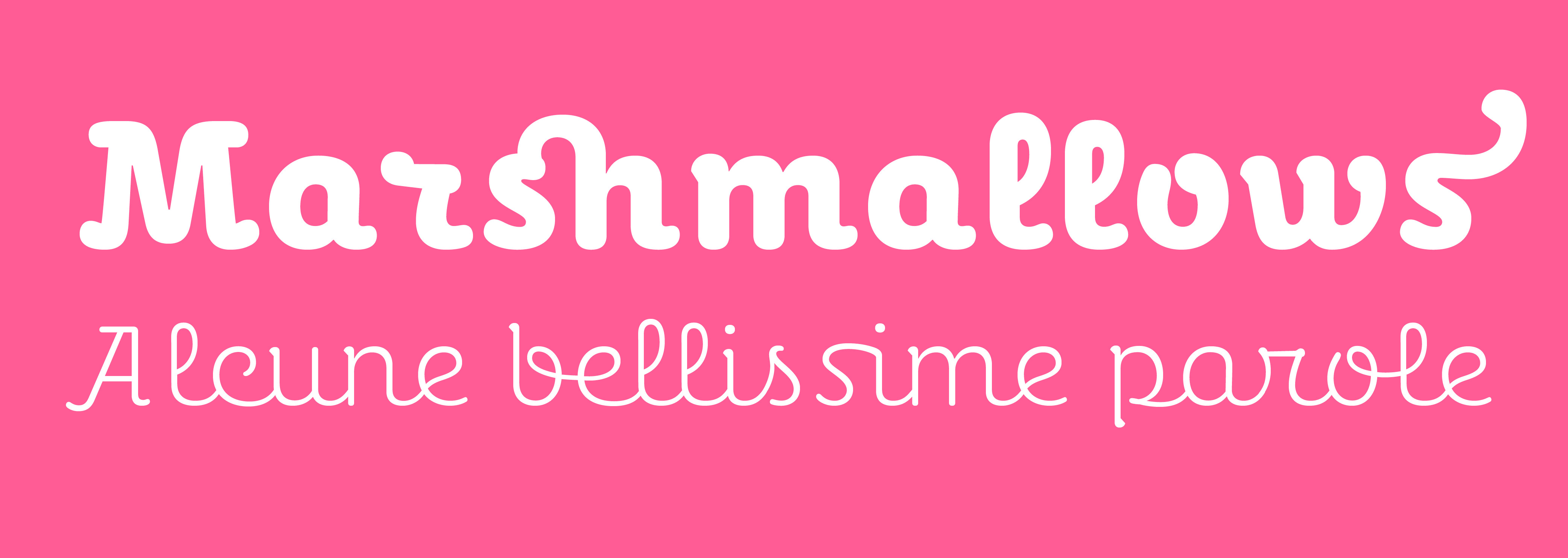 PampaType Font Foundry | Perec Scripte