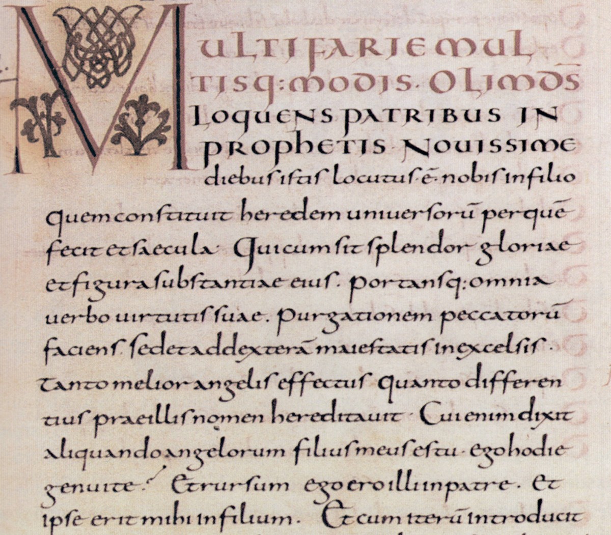 PampaType Font Foundry | The design of Carolinéale, a humanist sanserif ...